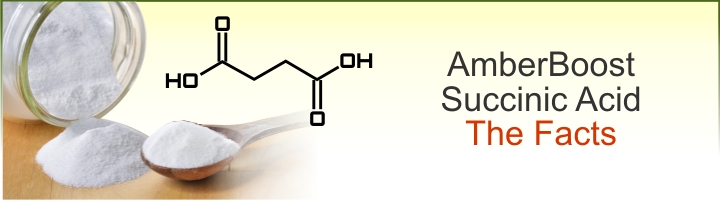 Safe and natural food grade Succinic Acid Safe and natural food grade Succinic Acid